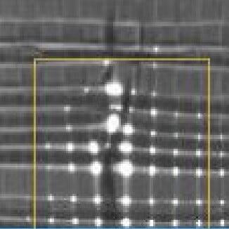 Automatically Catch fabric defects with AI-enable and Machine Vision Based Systems